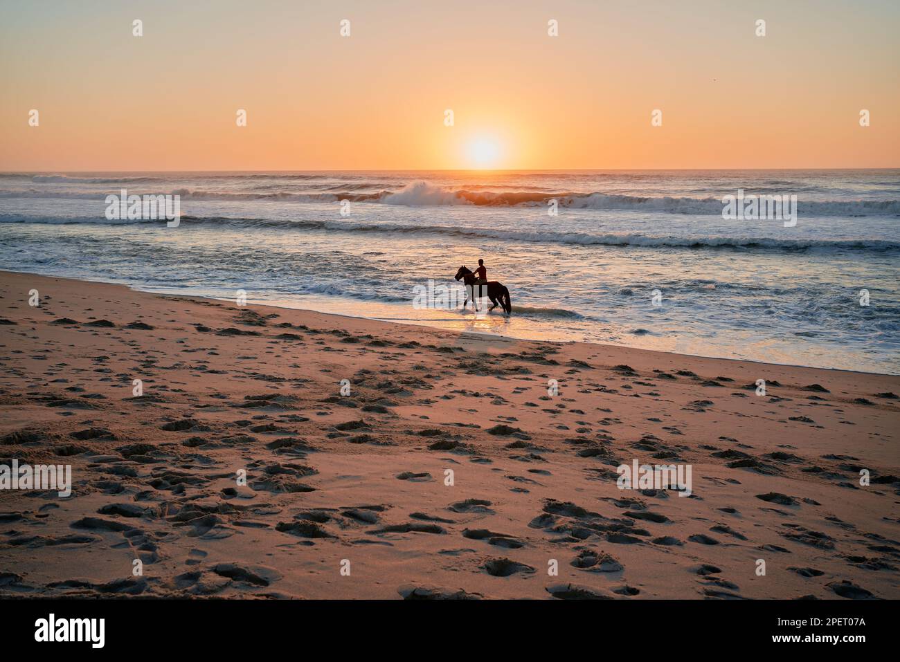 Horse riding in the beach at sunset with nice color and some nice horse ...
