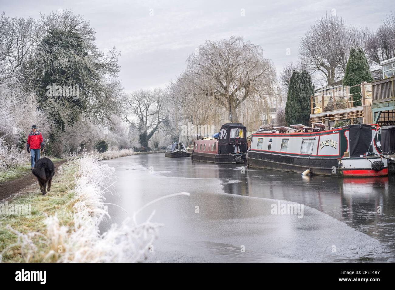 Cold, icy, frosty morning along UK canal. Narrowboats are moored along ...