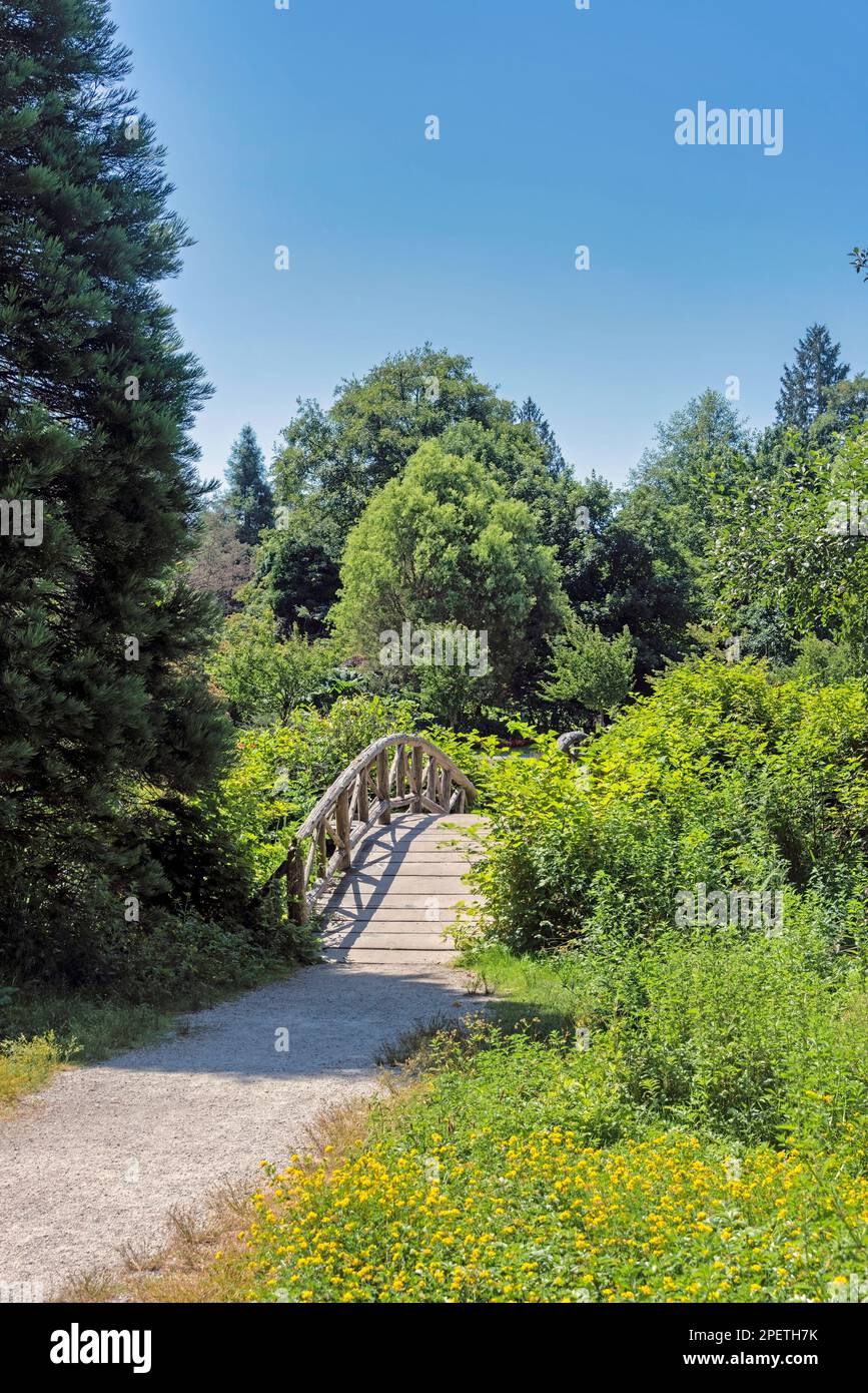 Pathway in a park to the wooden decorative bridge over a creek Stock ...