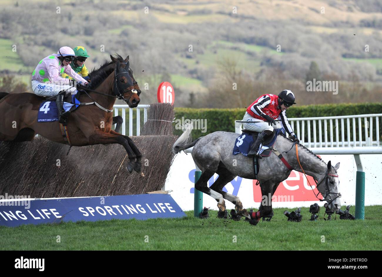 Race 2 The Sporting Life Arkle Trophy Staw Fan Jack ridden by Sean ...