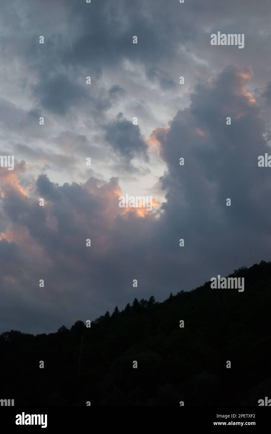 View on forest under sunset sky Stock Photo - Alamy