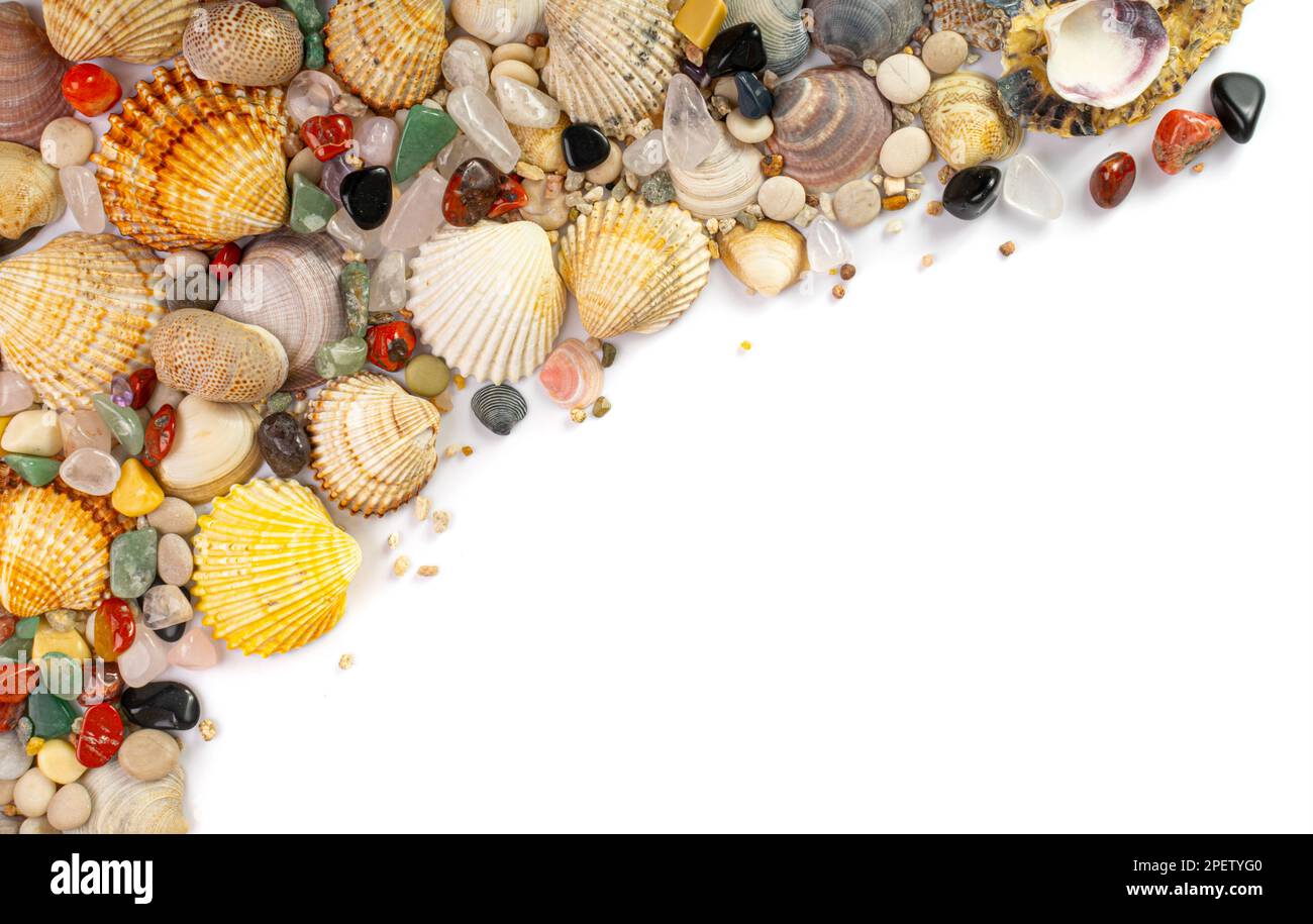 Sea Shell Frame, Multicolored Seashells Border, Clam Mollusc Shells ...