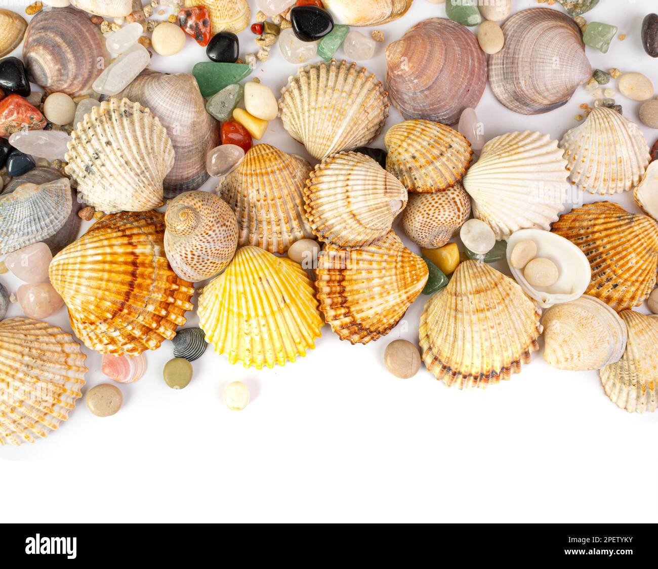 Seashell border sea shell hi-res stock photography and images - Alamy