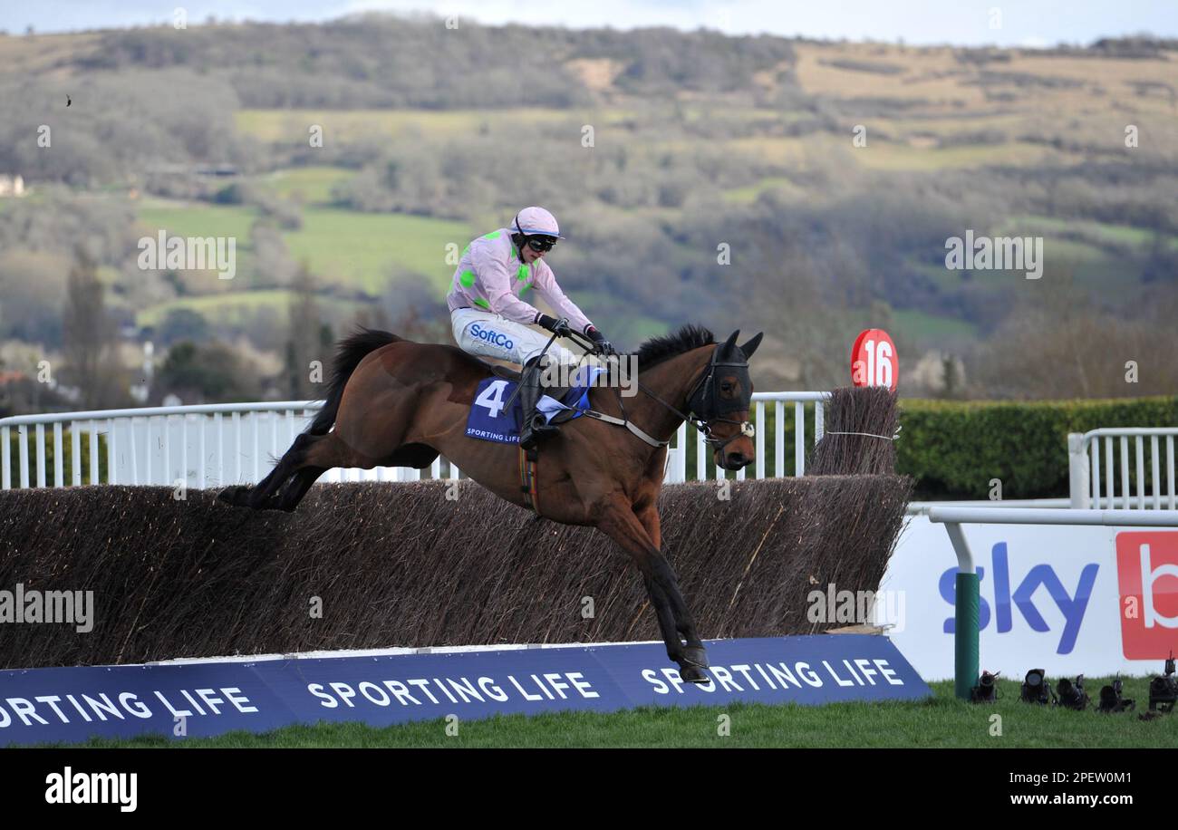 Race 2 The Sporting Life Arkle Trophy Ha D'Or jumps the last Horse ...