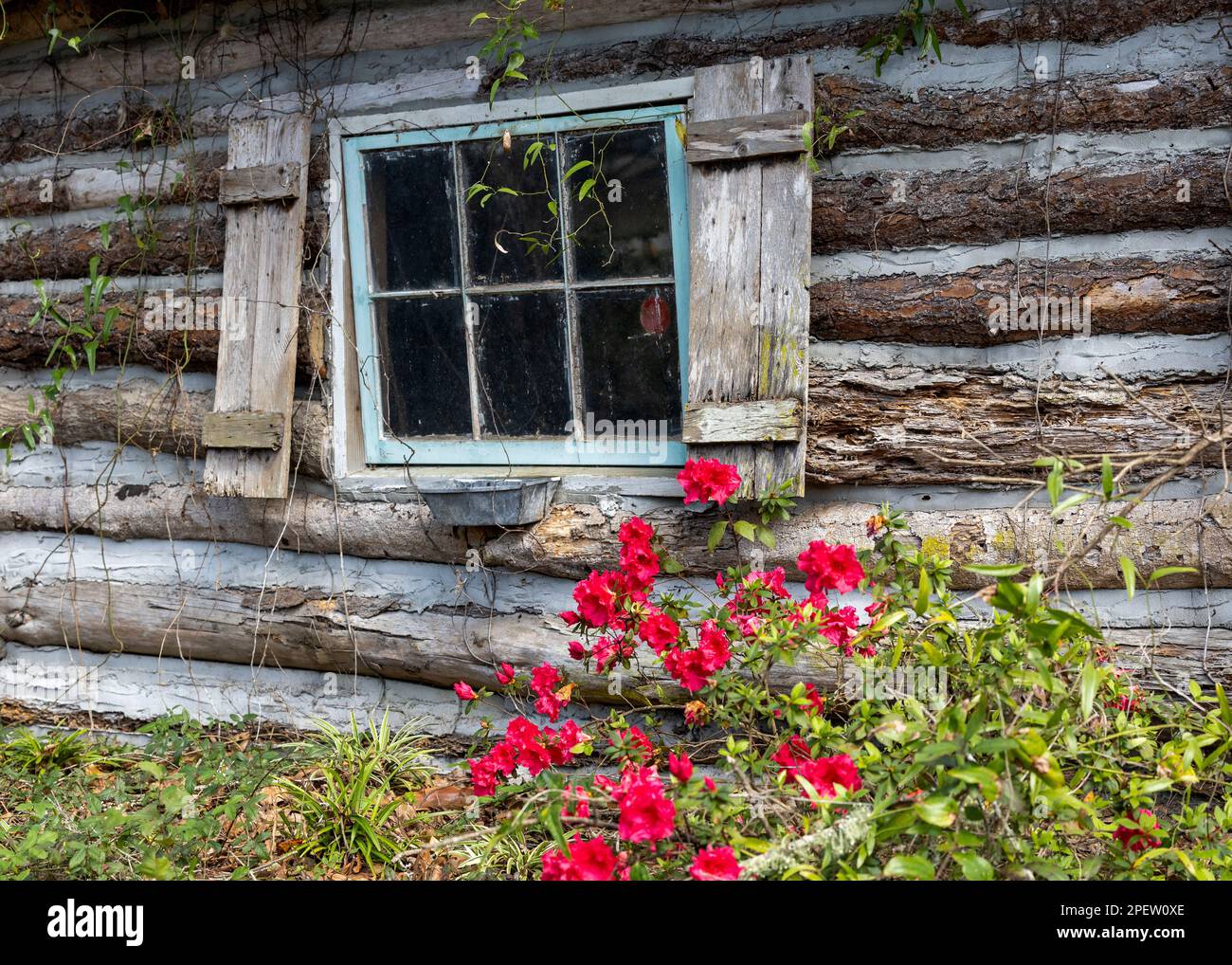 Cabin interior with flowers hi-res stock photography and images - Alamy