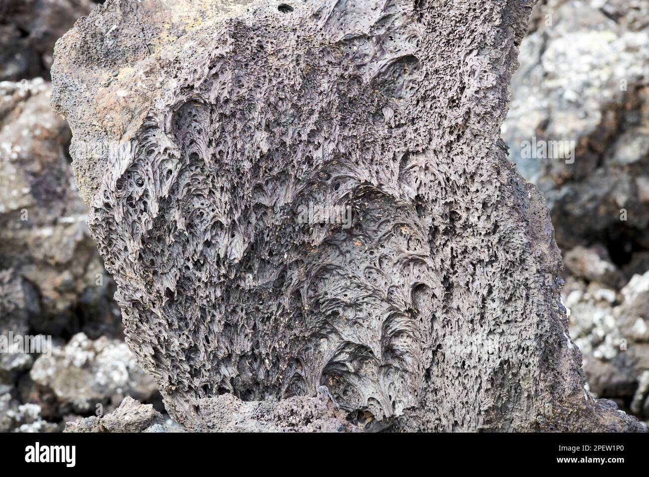 cooling wavy holes rock formation in lava flow parque nacional de ...