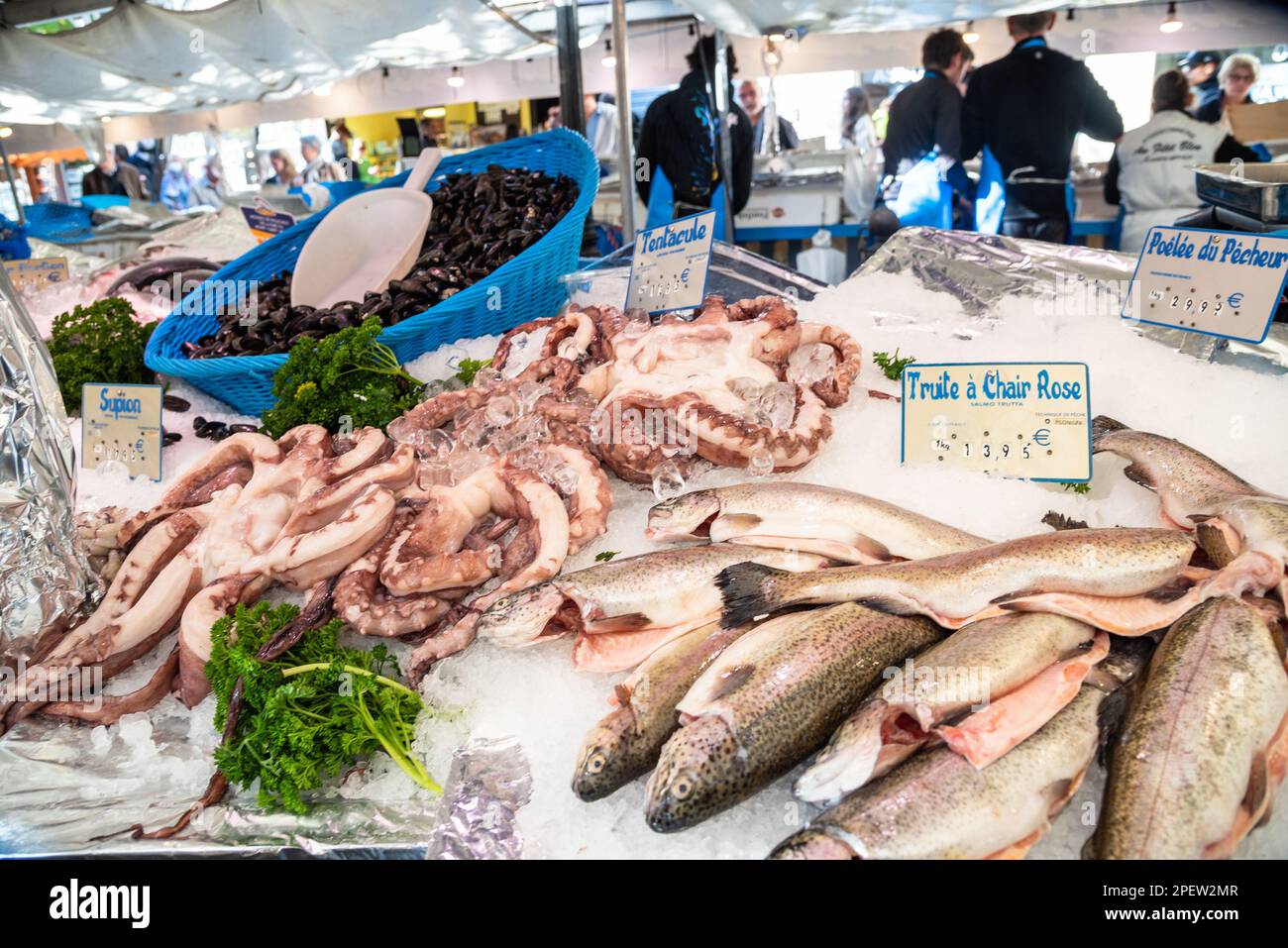 Fresh seafood and fish for sale at street market at Parisian suburb ...