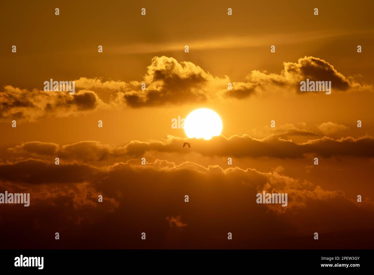 A landscape of a beautiful sunset behind the clouds in the evening - perfect for wallpapers ...