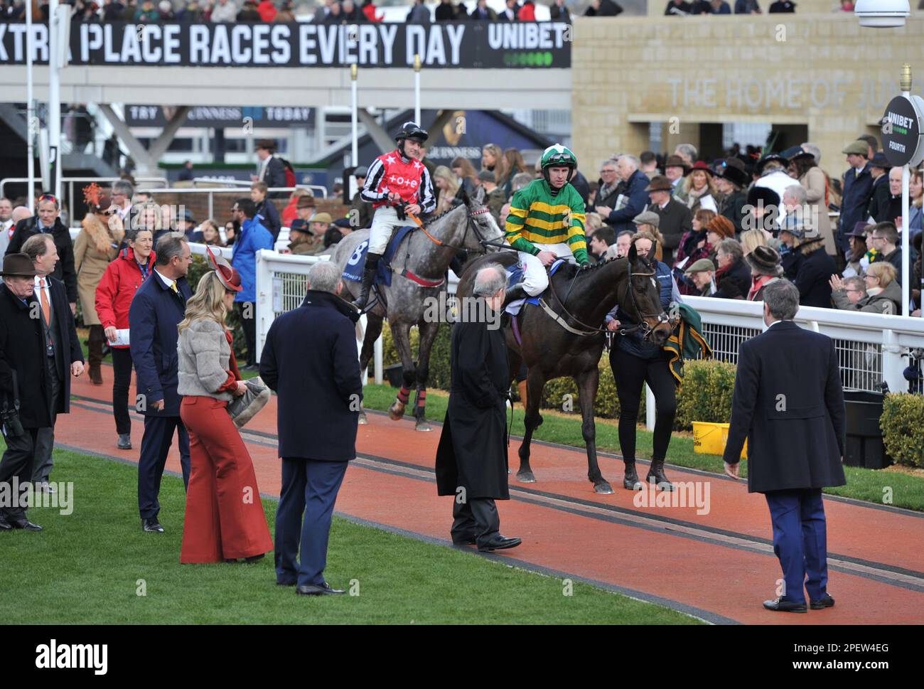 Saint roi horse hi-res stock photography and images - Alamy