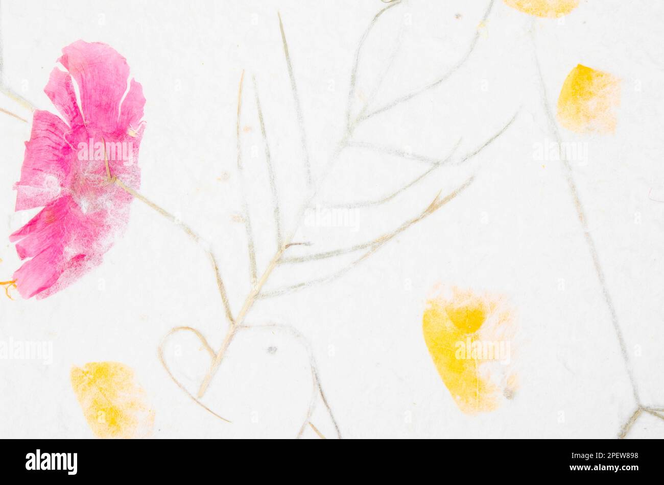 Handmade recycled flower and leaf paper background Stock Photo - Alamy