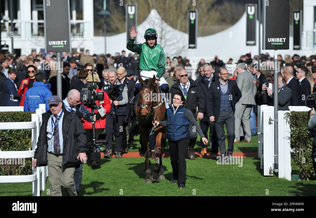 El fabiolo cheltenham hi-res stock photography and images - Alamy