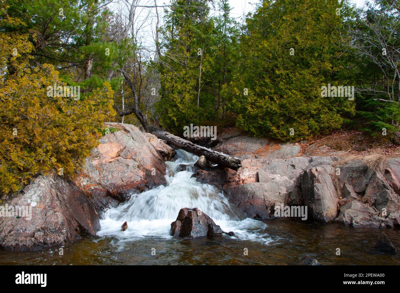 Rapids in the wilderness with rocks, cedar trees going into the lake ...