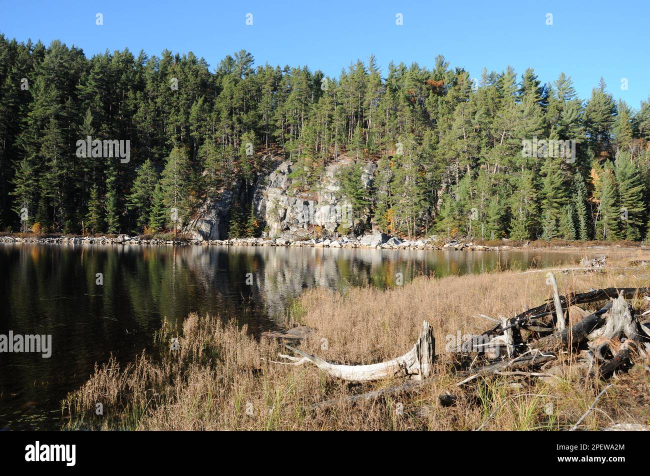 Summer scenery displaying coniferous trees, blue sky, water, rocks and ...