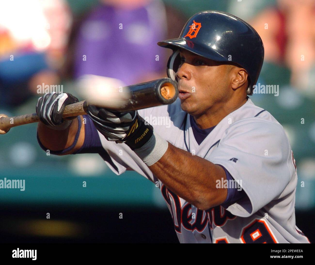 Detroit tigers' Alex Sanchez puts down a bunt single on a pitch from ...
