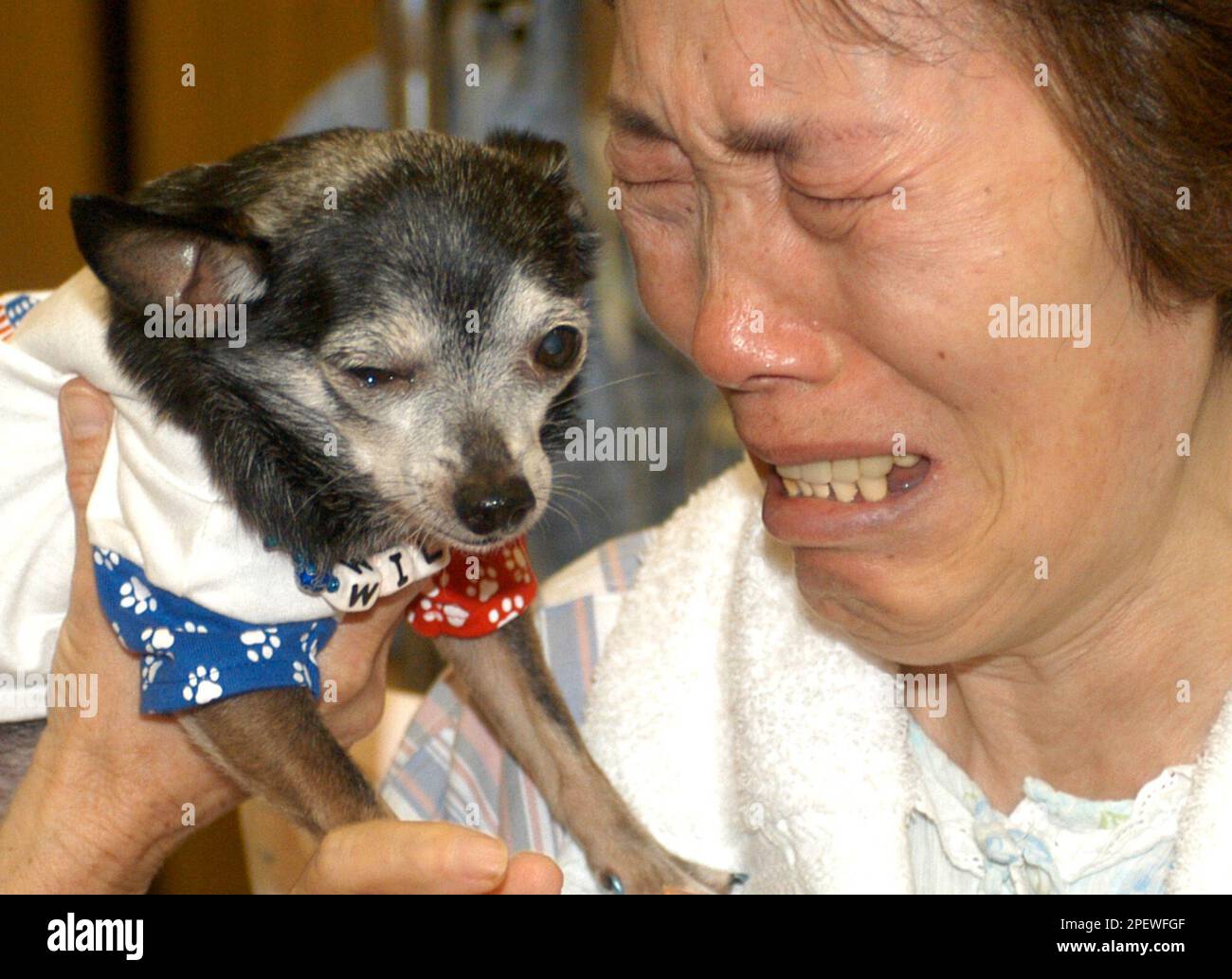 Wheelchair-bound patient cries in joy as she is met with Wheely Willy ...