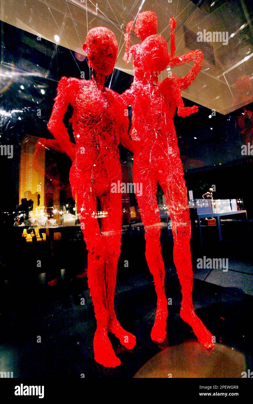 Three cadavers are displayed with just their blood vessels at the ...