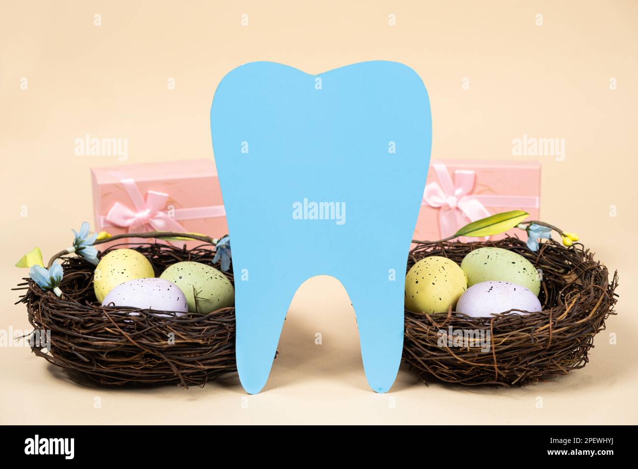 Easter dentistry. Blue tooth and painted eggs in nests on a beige ...