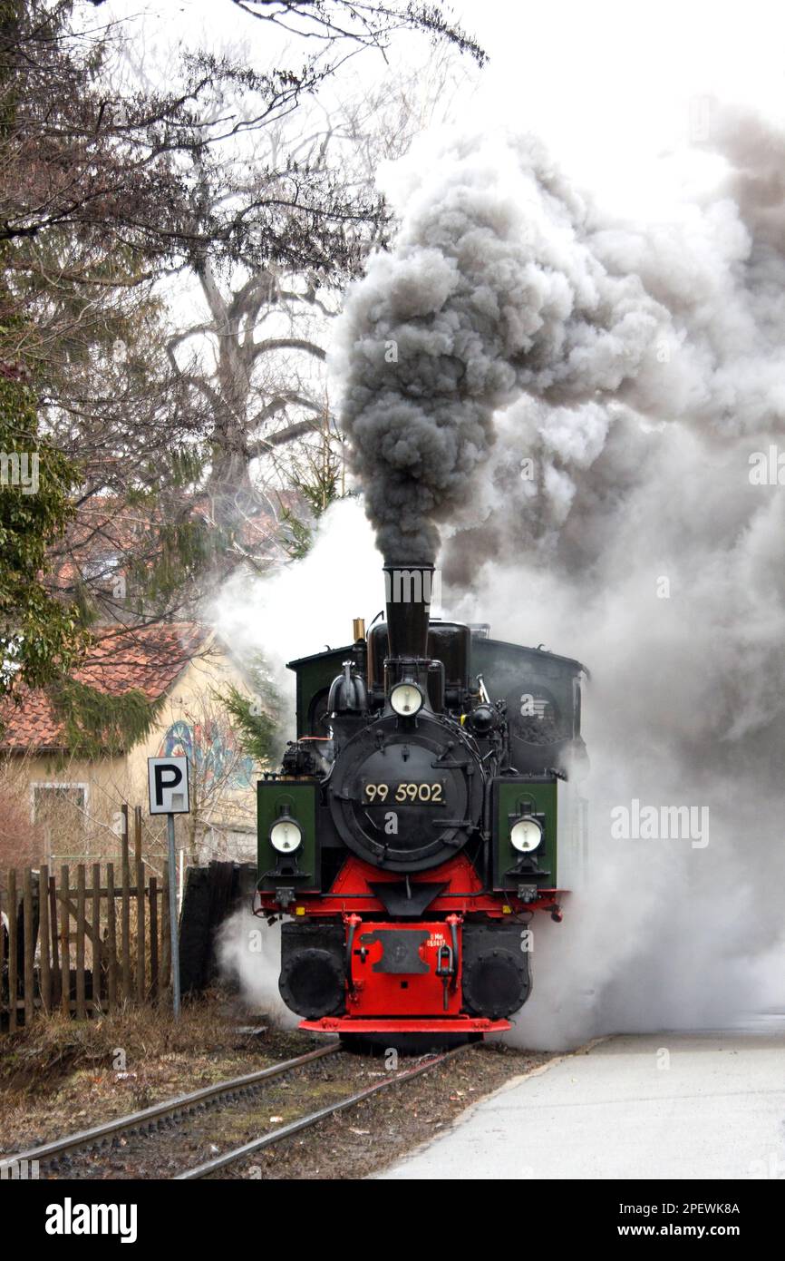 A Harz narrow gauge steam train leaving Wernigerode and making its way ...