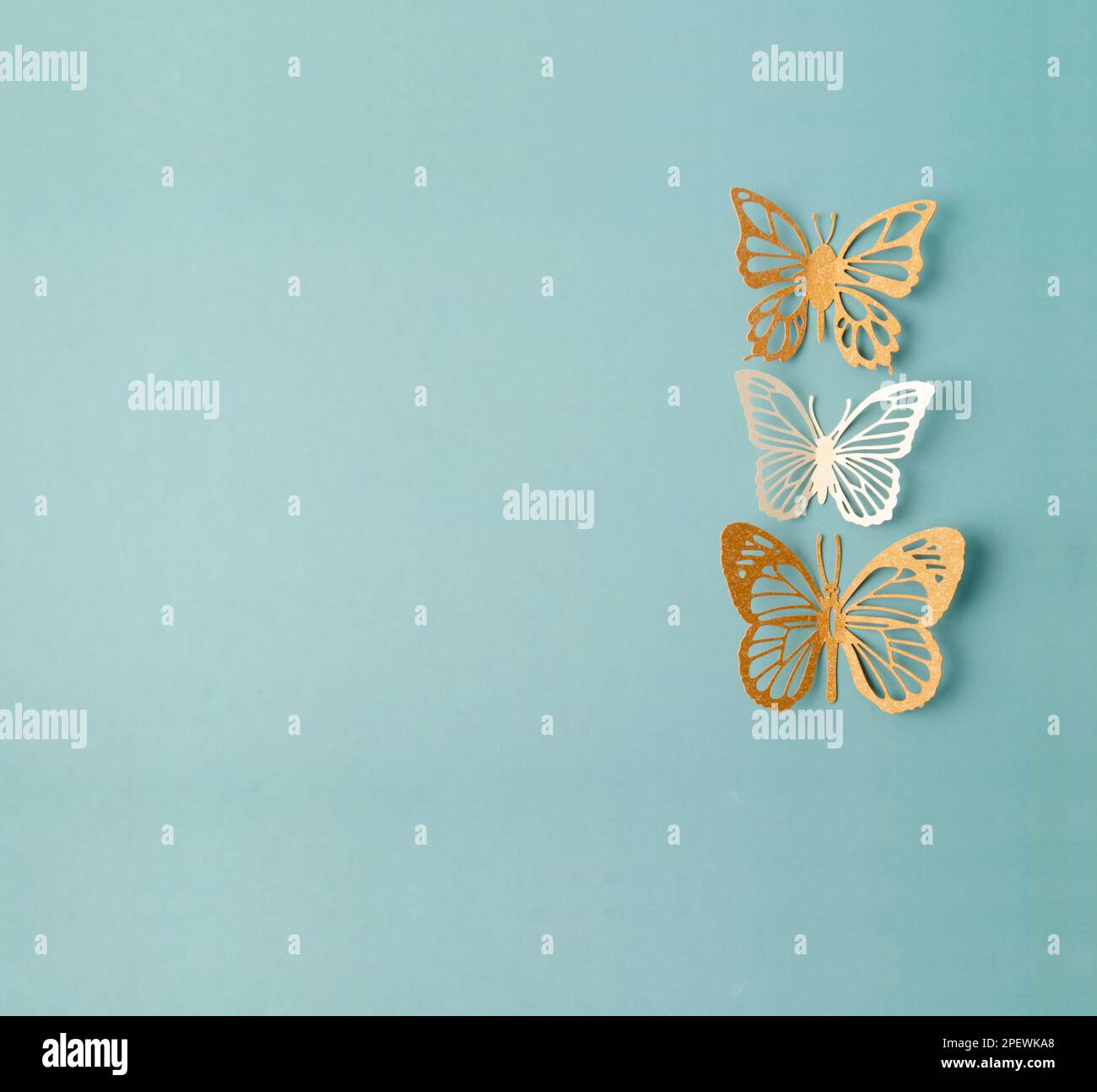 Hand made butterfly Paper Cut , on green pastel color background with ...