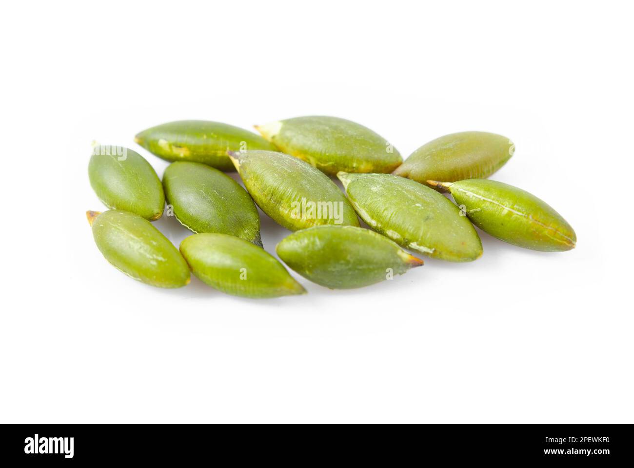 pile of raw pepitas isolated on white Stock Photo - Alamy