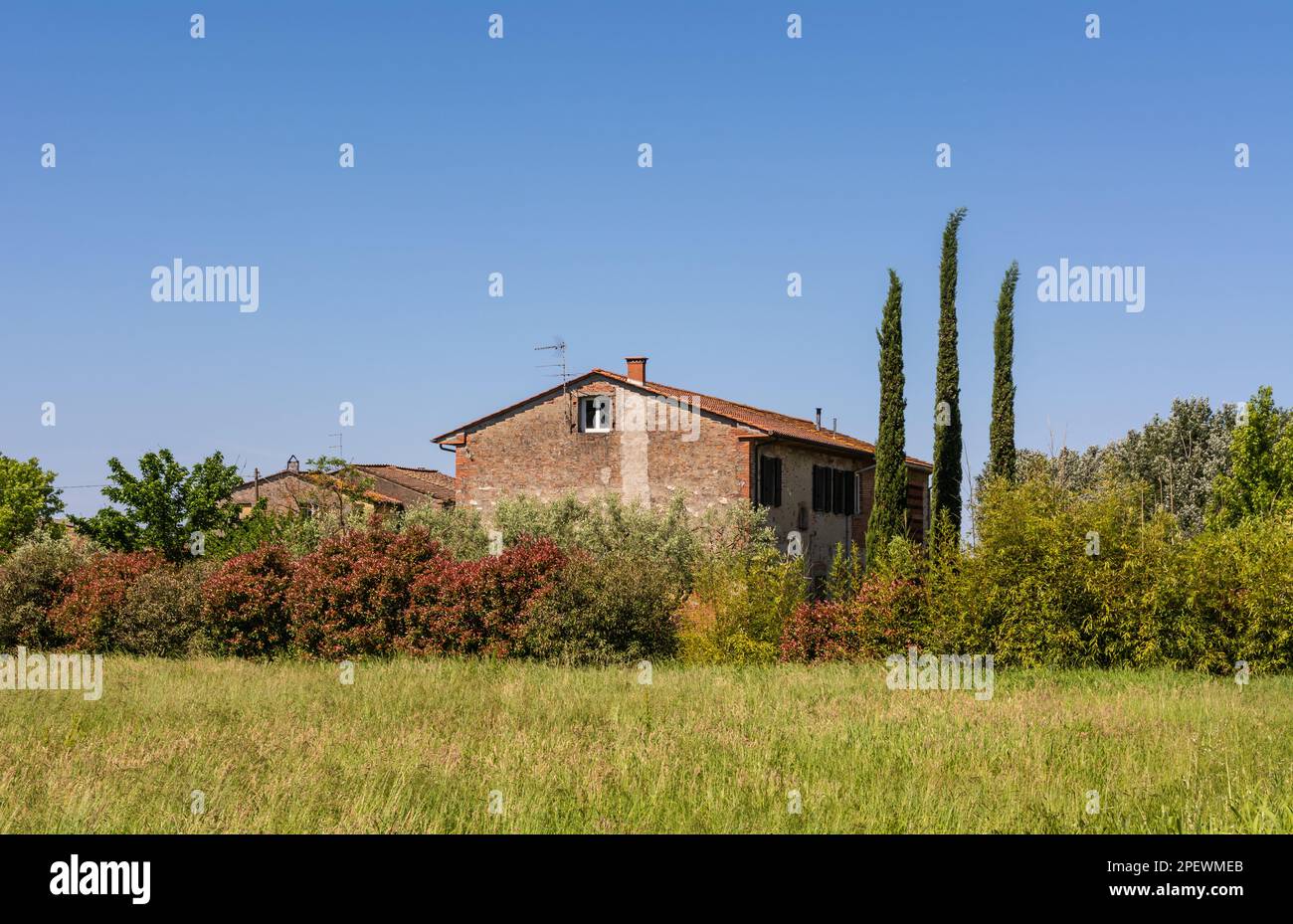 Tuscan countryside near Capannori, along the historic Francigena road ...