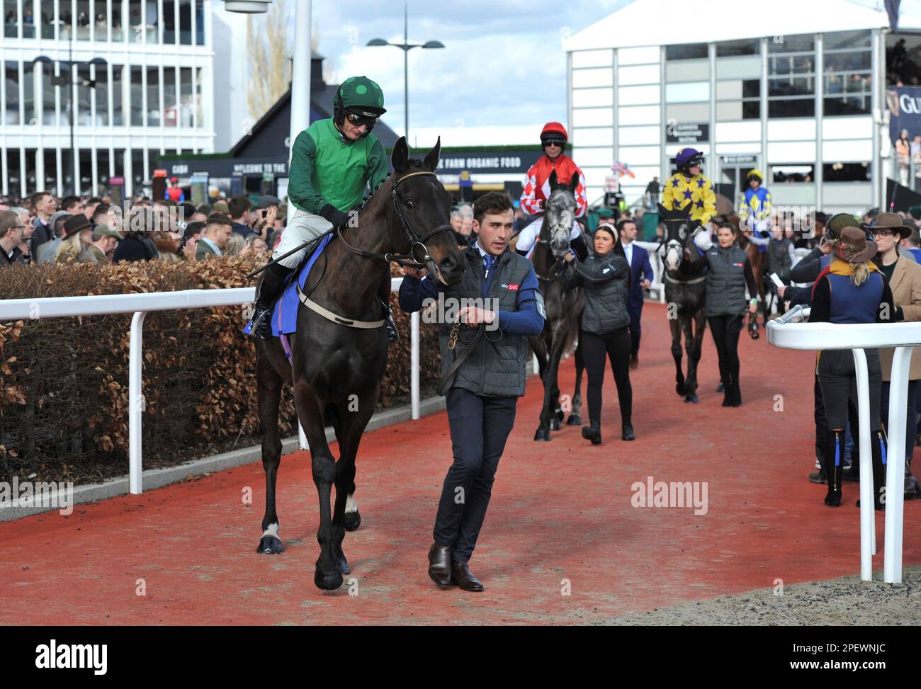 Dark raven horse racing hi-res stock photography and images - Alamy