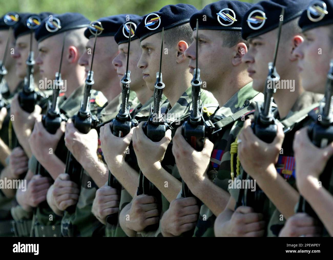 Soldaten der Deutsch-Franzoesischen Brigade stehen in Formation waehrend der feierlichen ...