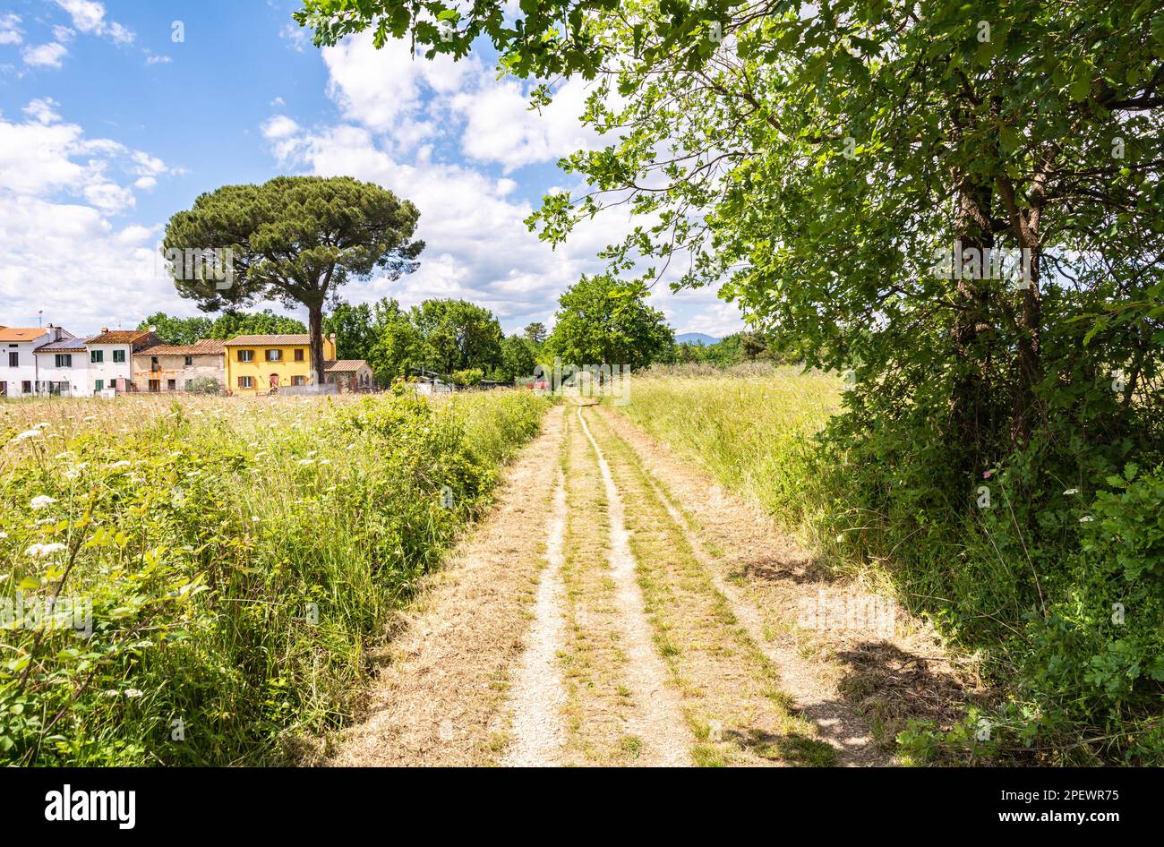 Path on the historic Francigena road from Lucca to Siena. Walking ...