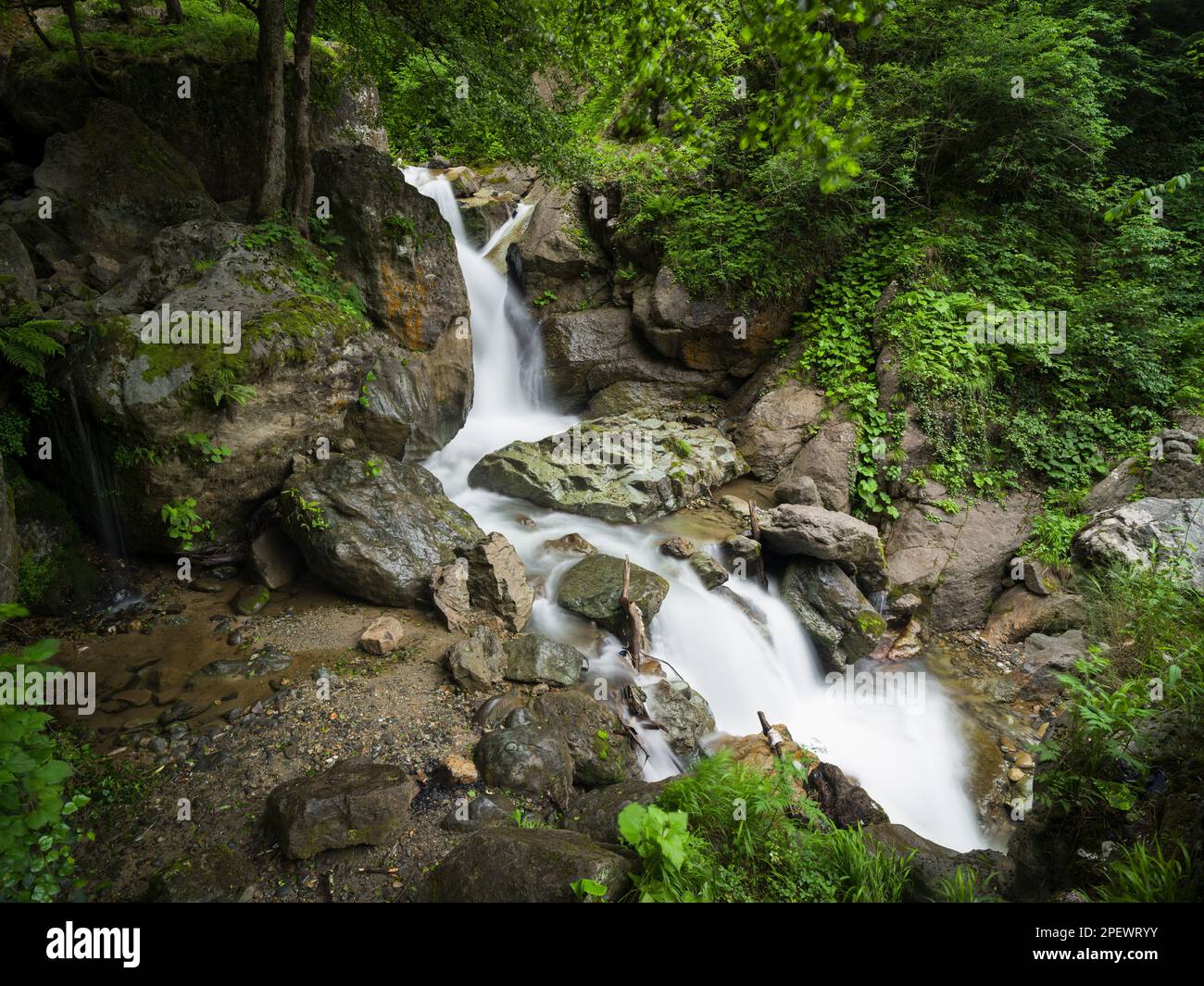 Waterfall in forest. Summer nature scenery. Fresh and clean environment ...