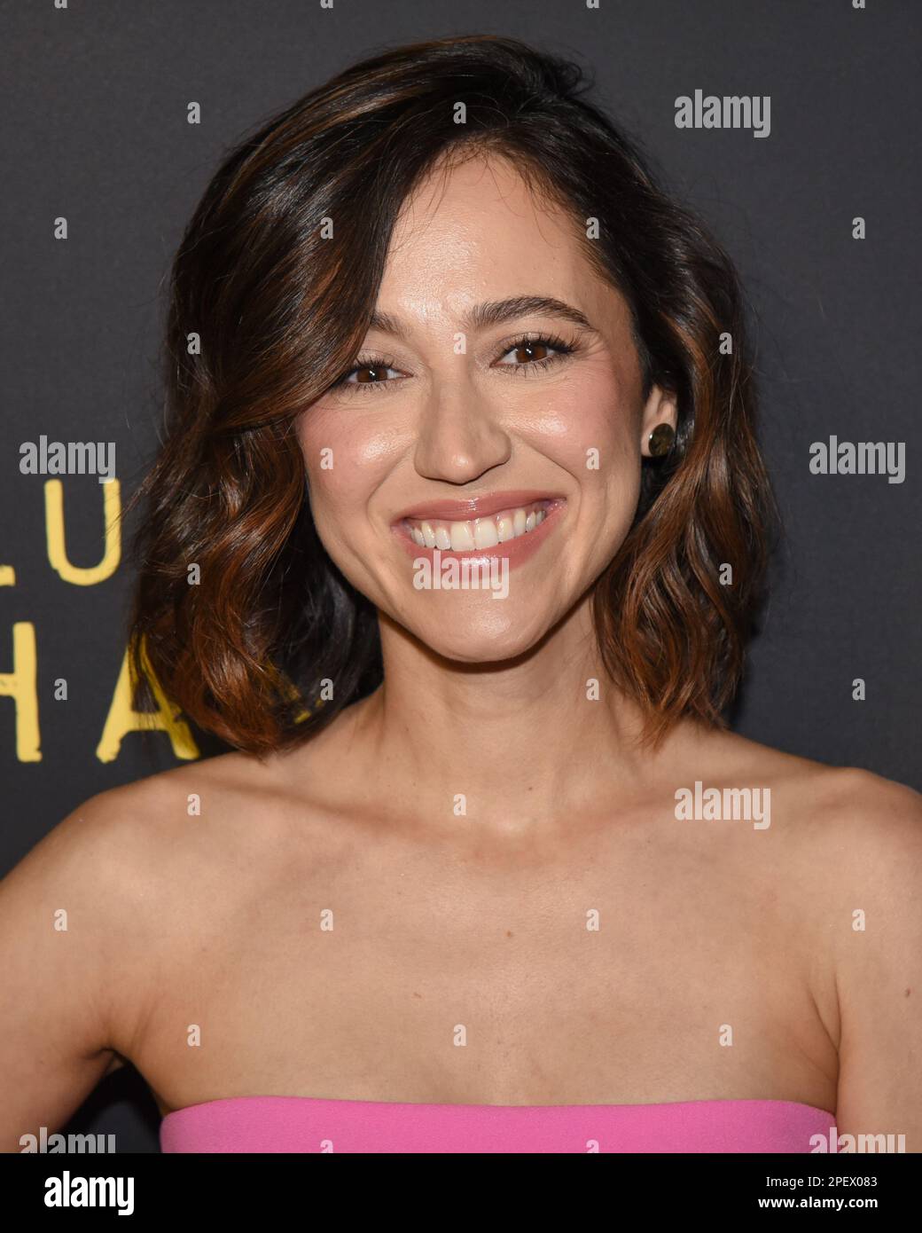 March 15, 2023, West Hollywood, California, United States: Sara Amini ...