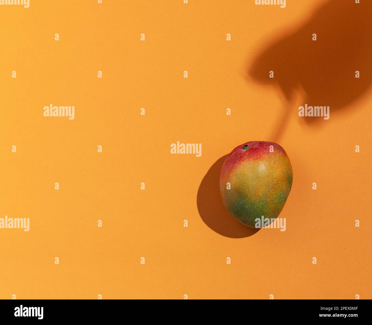 Fresh organic mango on the orange background with a shadow leaf Stock ...