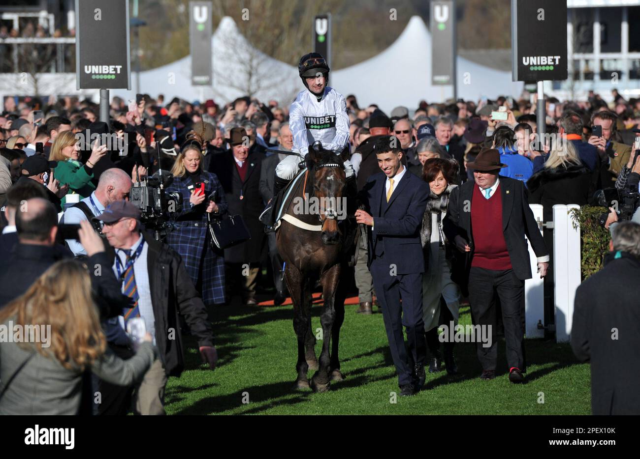 Constitution hill horse cheltenham hi-res stock photography and images ...