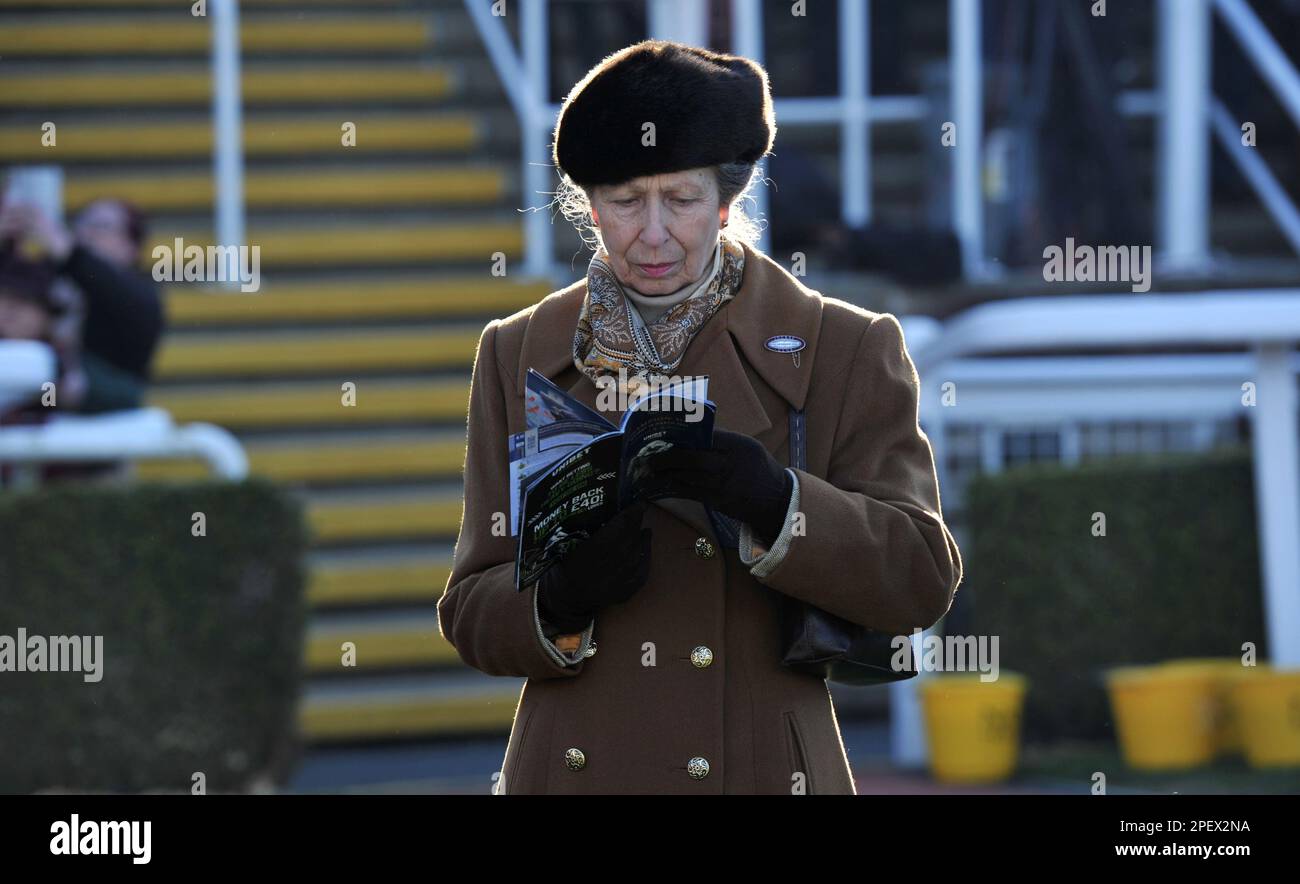 Princess Anne in the Parade Ring Racing at Cheltenham Racecourse on Day ...