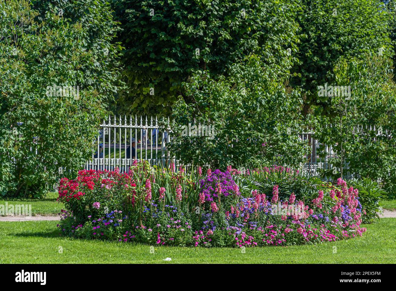 Flower garden of a complex pattern, which uses a variety of plants ...