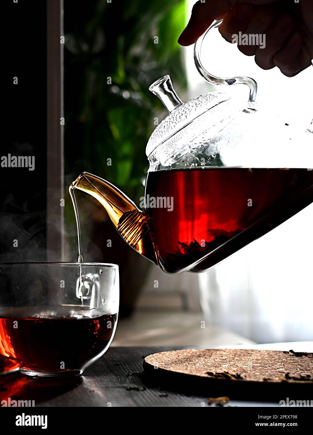 A woman's hand pouring tea into a mug. Steamed tea, morning tea, home ...
