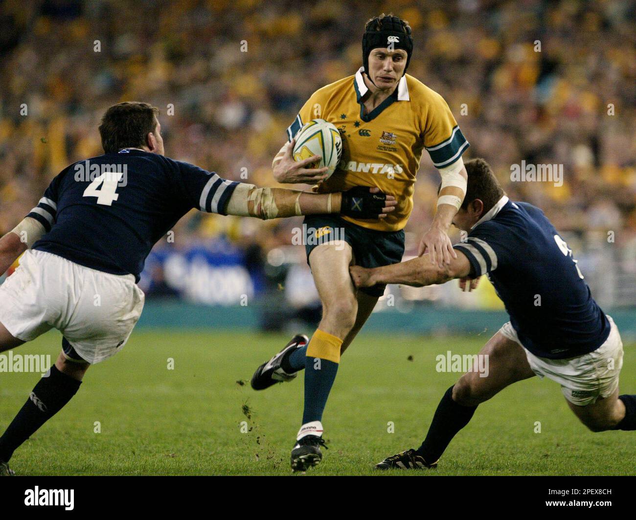 Australia's Stephen Larkham, center, makes a break past Scottish ...