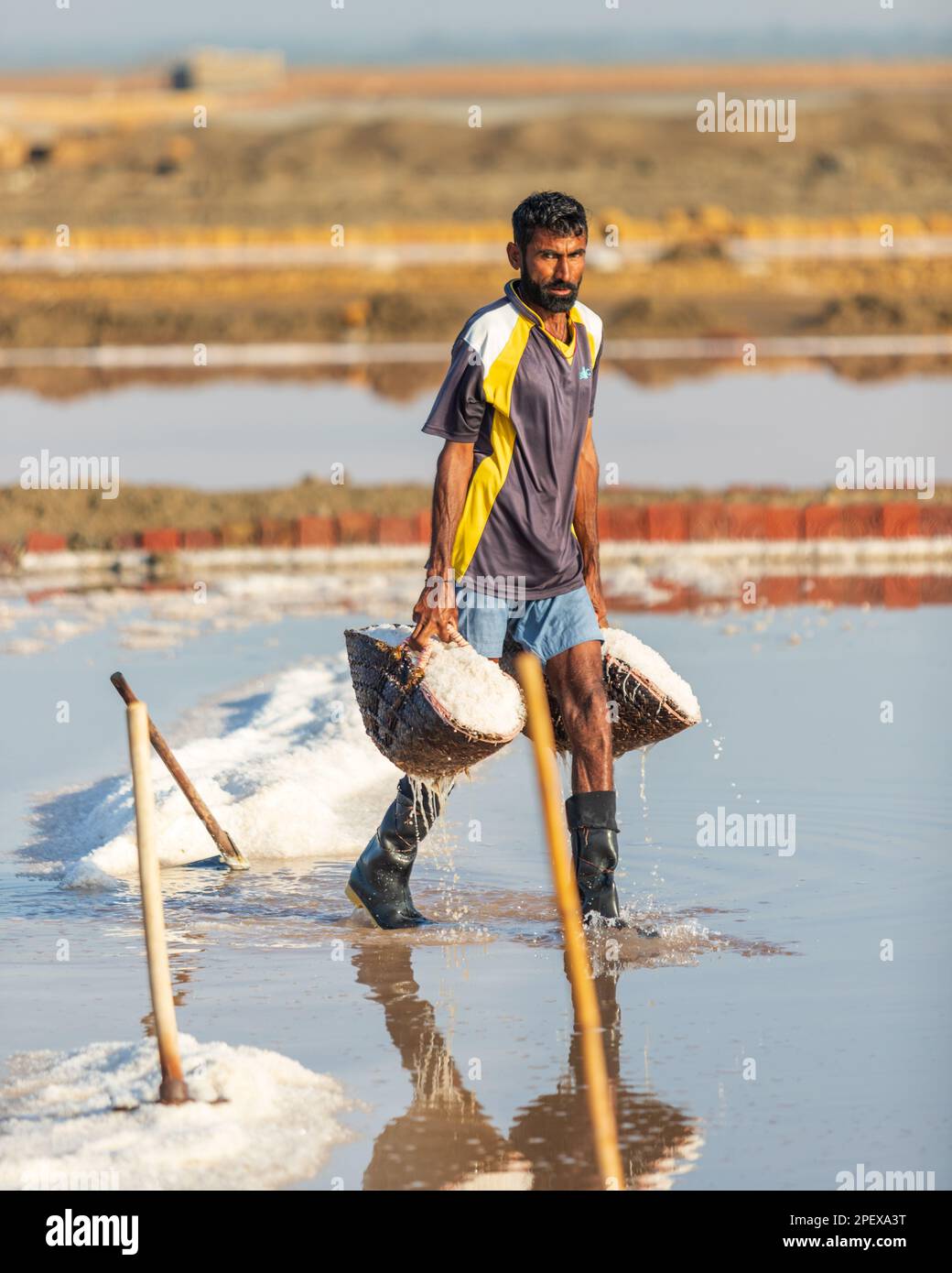 Bhambore Sindh Pakistan 2022, Labor collecting and stacking sea salt at ...