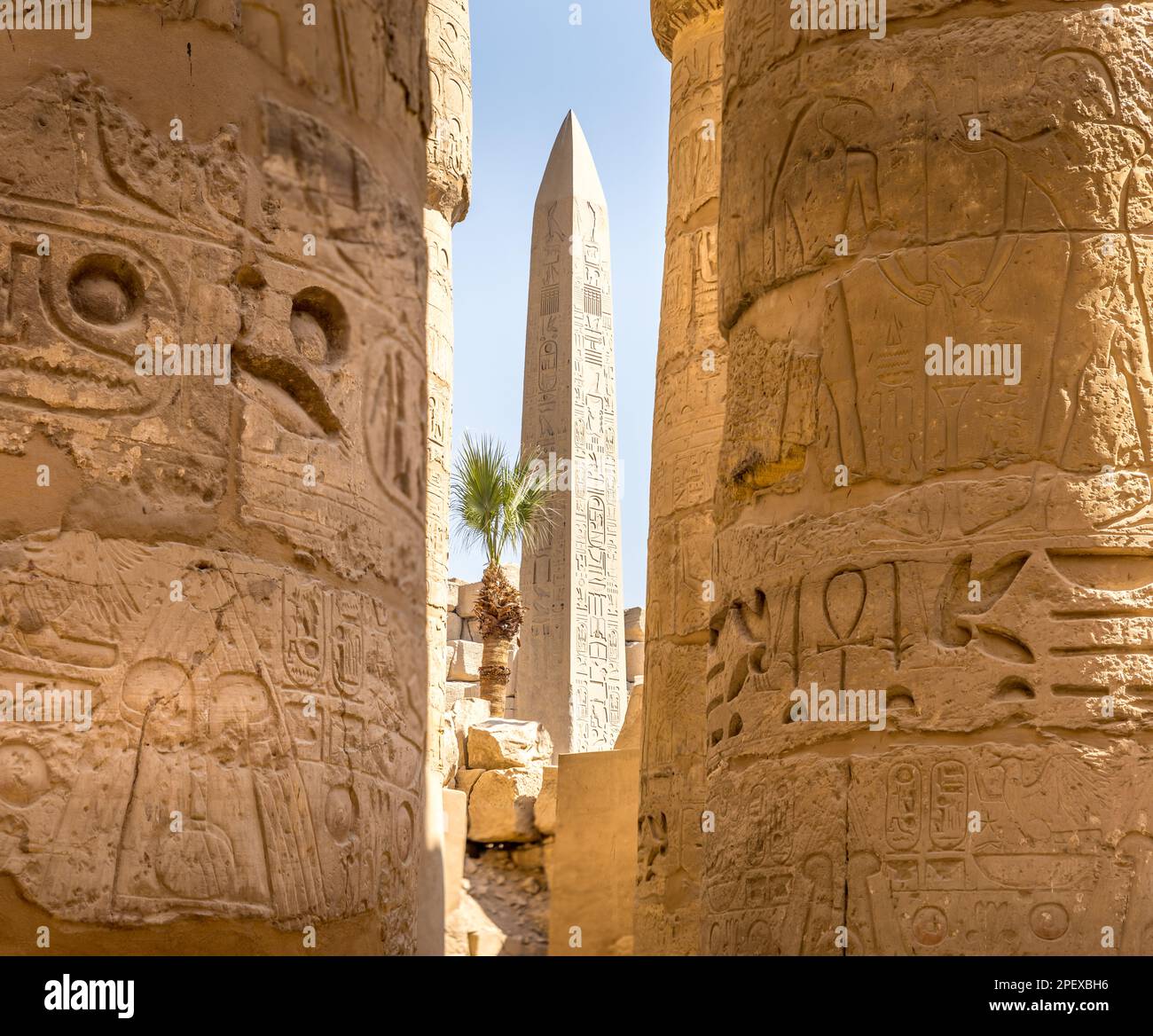 Collum hall hi-res stock photography and images - Alamy