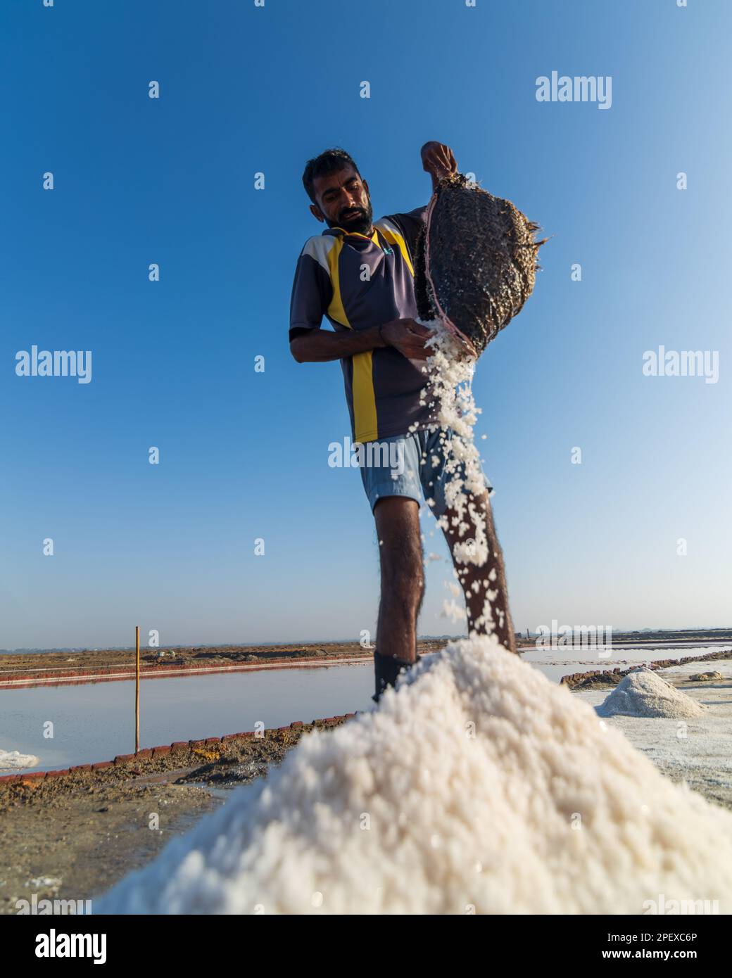 Bhambore Sindh Pakistan 2022, Labor collecting and stacking sea salt at ...
