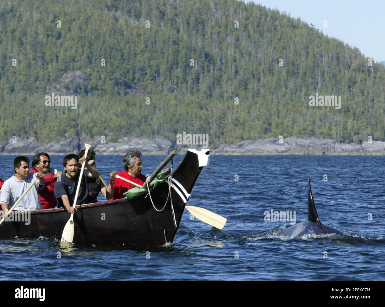 First Nations members lead Luna through the waters of Nootka Sound and ...