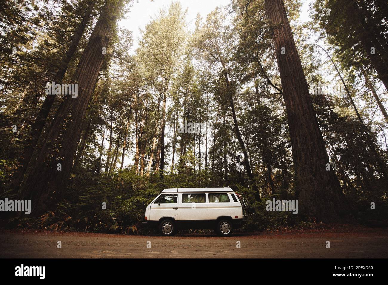 A white off-road van parked in a forest clearing, illuminated by warm ...
