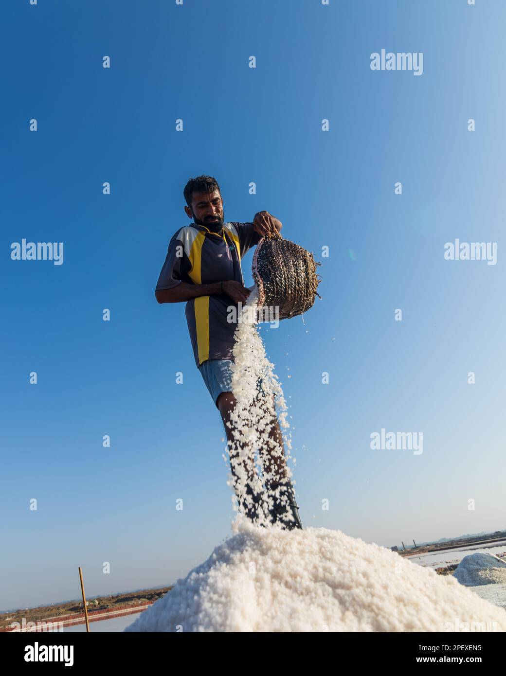 Bhambore Sindh Pakistan 2022, Labor collecting and stacking sea salt at ...