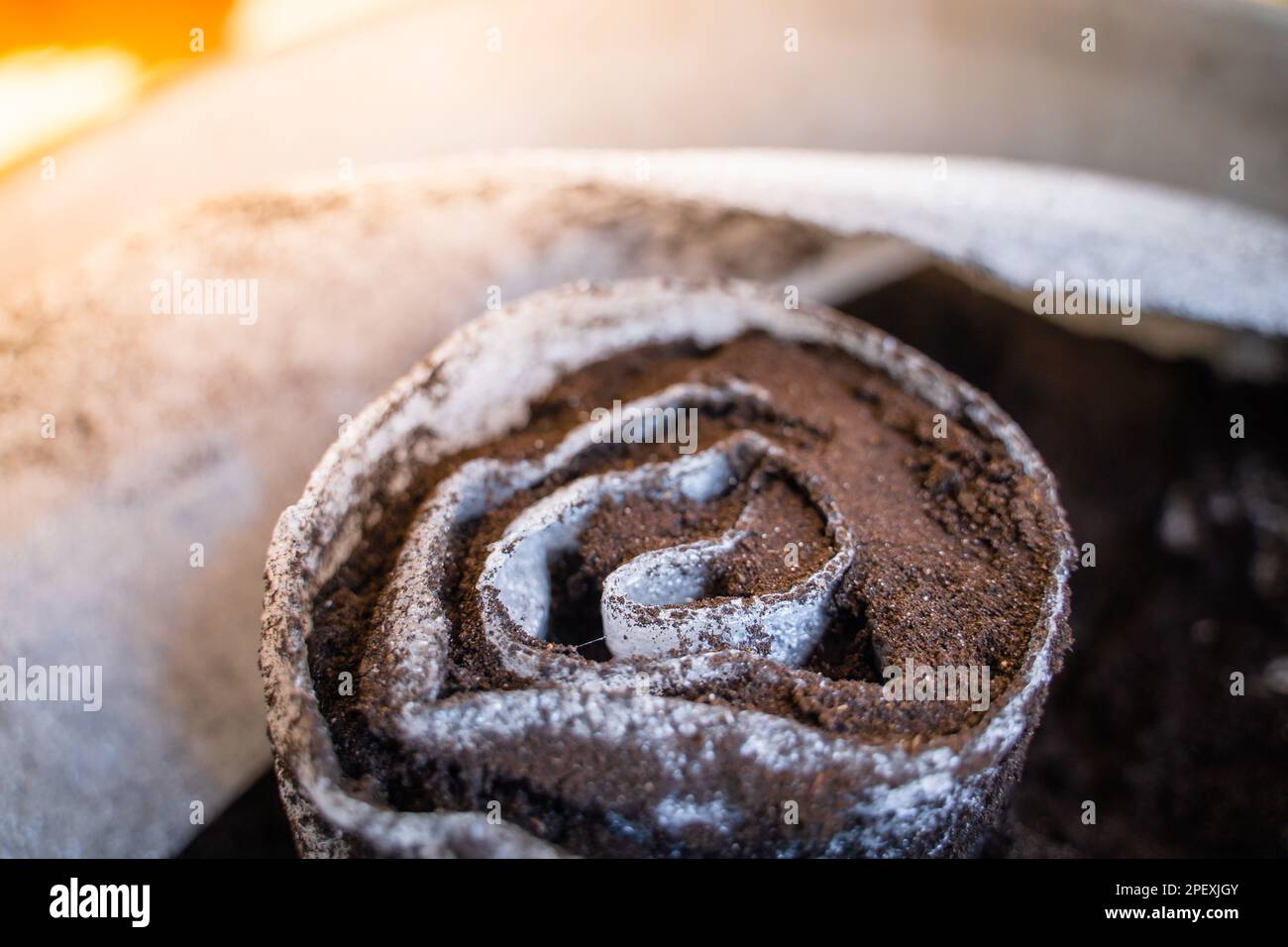 A new method of germinating seedlings in rolls. Fertilized soil with ...