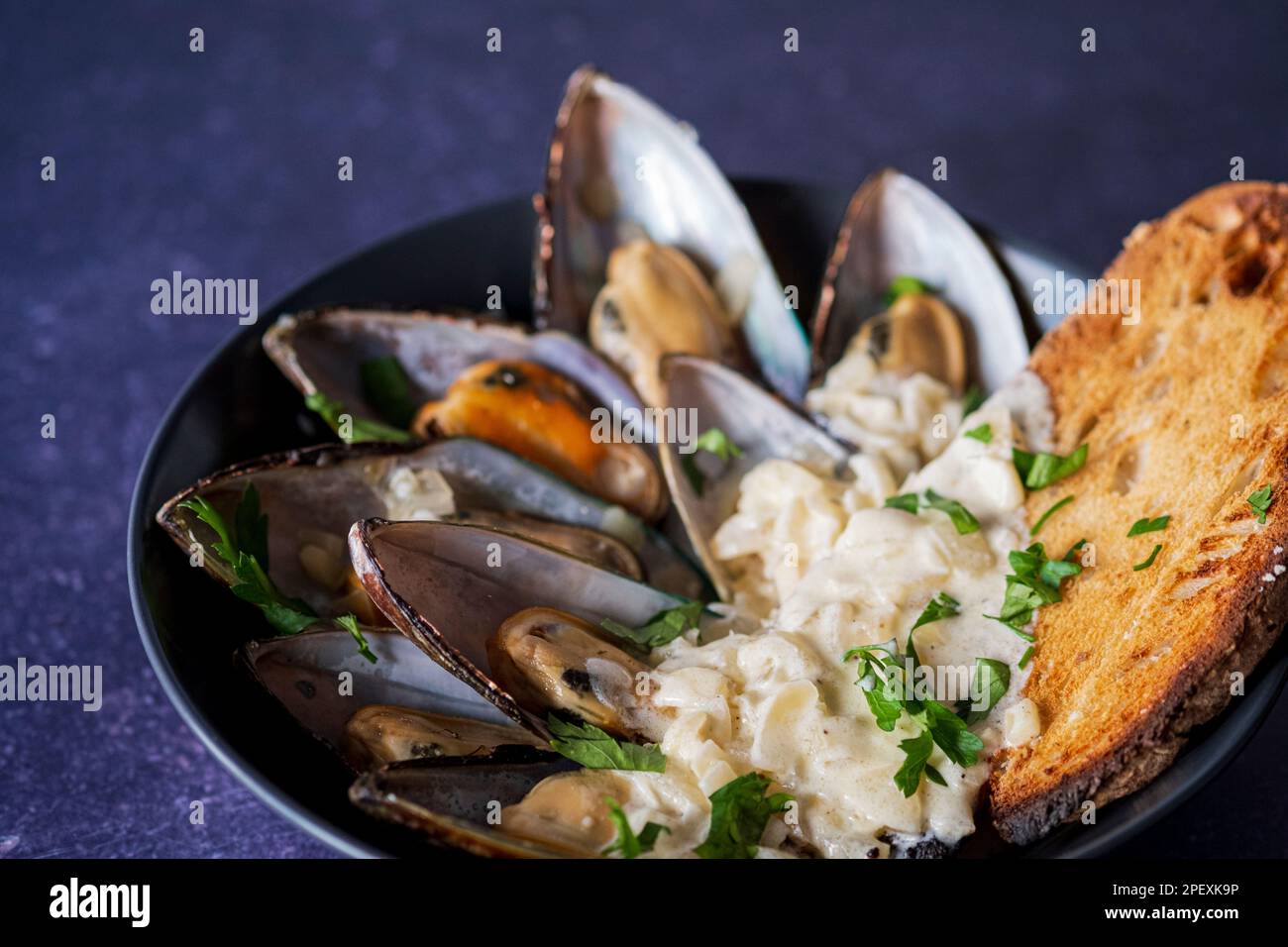 Mussels with sider and toasted bread Stock Photo - Alamy