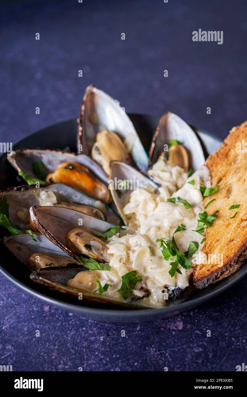 Mussels toasted bread hi-res stock photography and images - Alamy