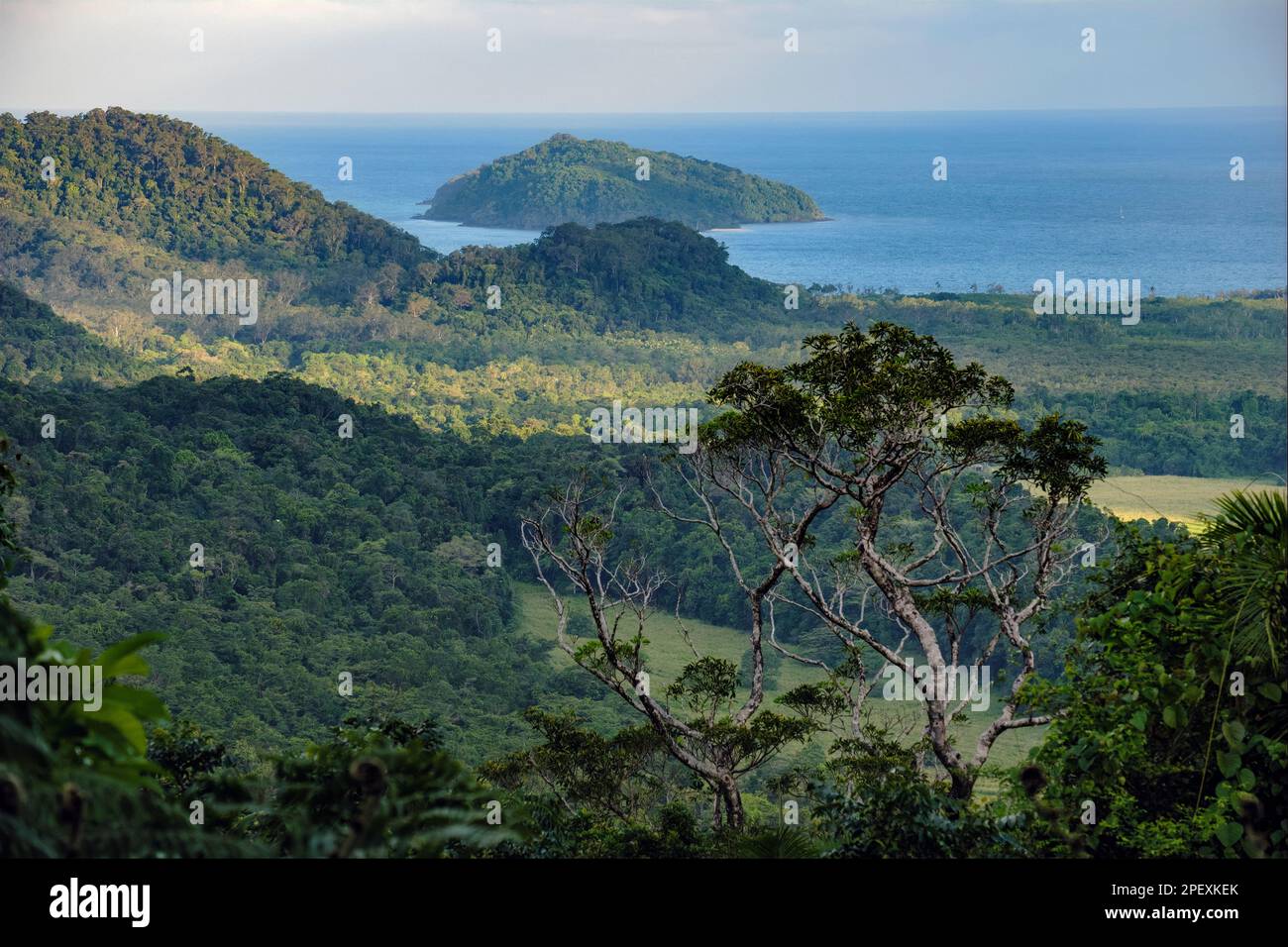 View from Mount Alexandra Lookout to Snapper Island in the mouth of the ...
