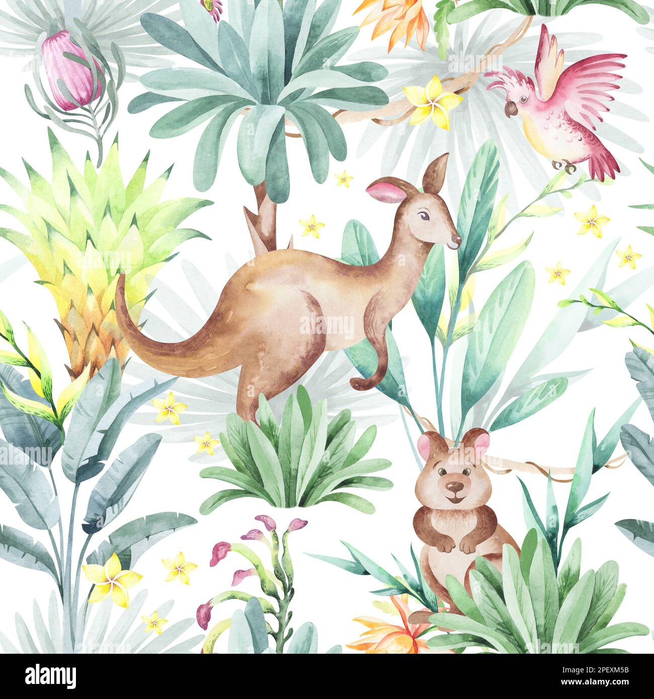 Australia animals seamless pattern with tropical blooming flowers and ...