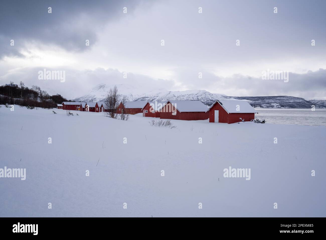 snowy nature landscape in tromso fjords, norway Stock Photo - Alamy