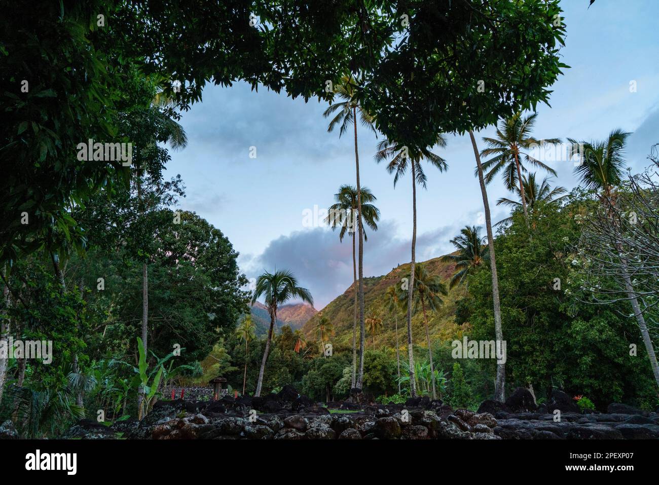 Papeete Townscape in Tahiti Stock Photo - Alamy
