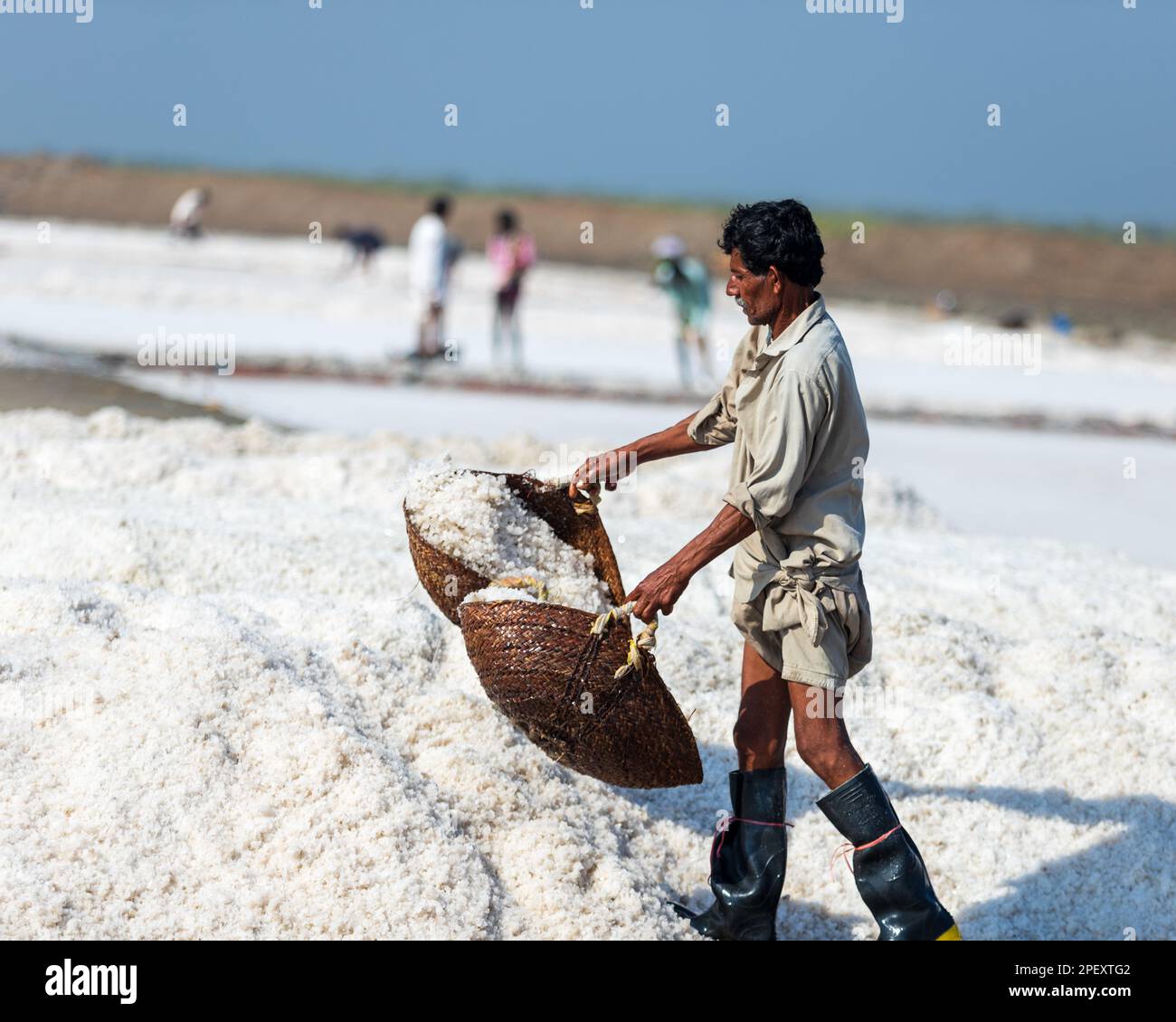 Bhambore Sindh Pakistan 2022, Labor collecting and stacking sea salt at ...